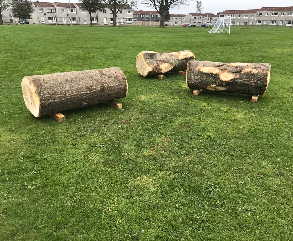 Naturally Occurring Logs | Natural play using logs | Caledonia Play UK