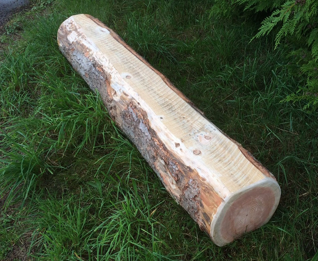 Natural Log Bench | Quality Outdoor Seating | Caledonia Play